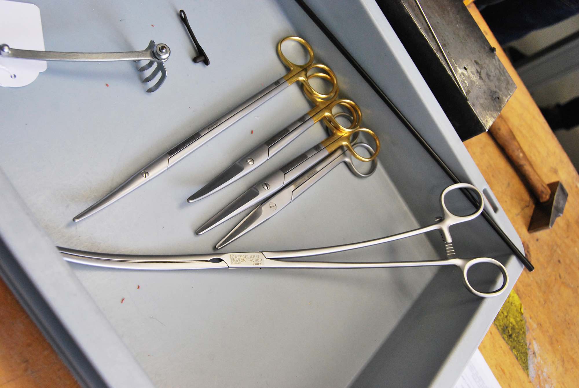 Mag' in France | La Haute-Marne respire et inspire