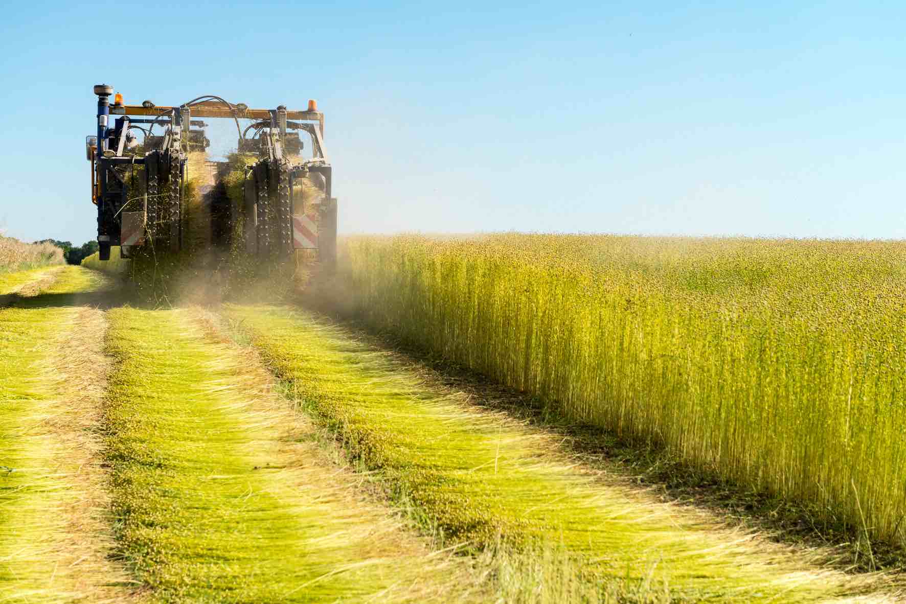 Mag' in France | La France, premier producteur mondial de lin